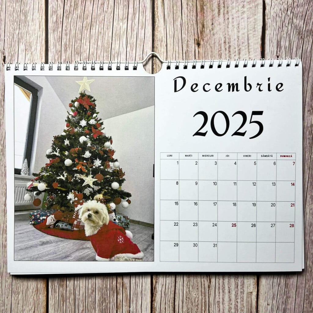 Calendar personalizat 2025 simplist - Artcado